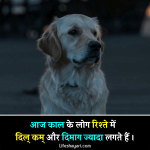 1000+ Best Sad Shayari Images In Hindi 2025 | सैड शायरी हिंदी में ...
